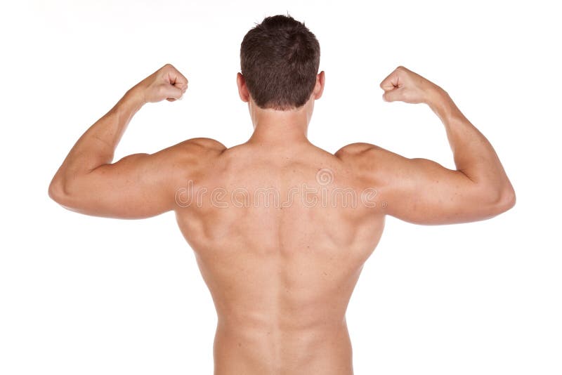 Muscles du dos image stock. Image du biceps, masculin - 17007529