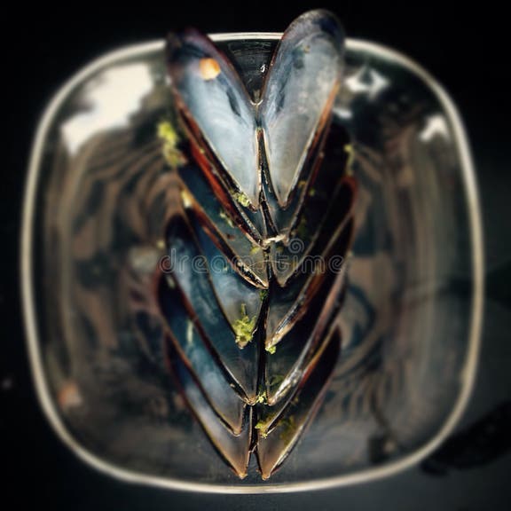 Muscles editorial photo. Image of symmetry, seaside, delicious - 49213291