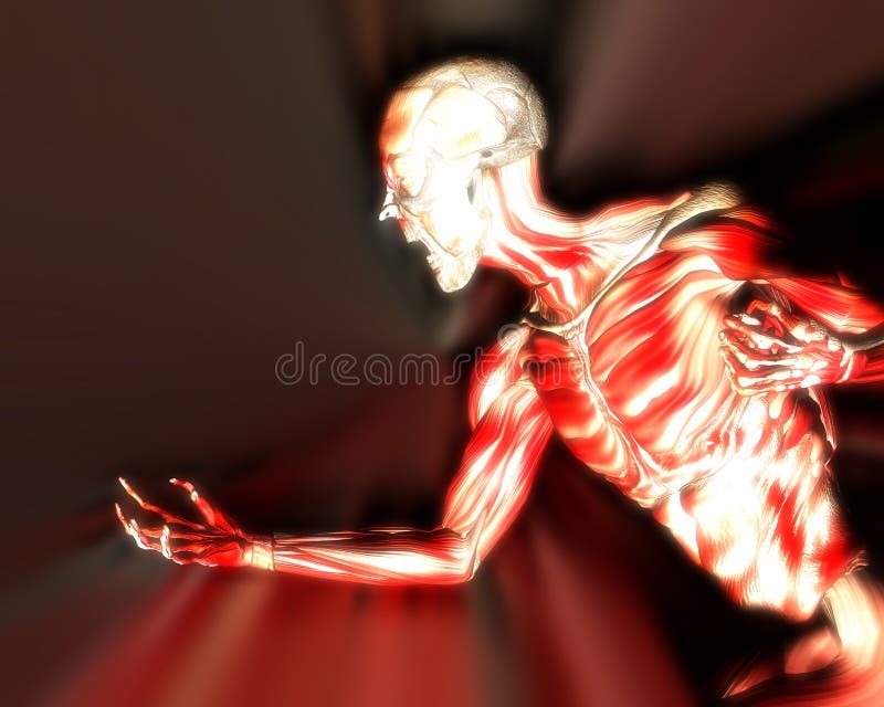 Muscles on Human Body 10 stock illustration. Illustration of muscle ...