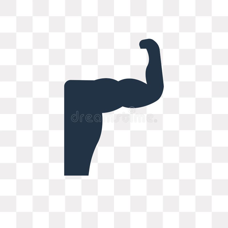 Muscles Vector Icon Isolated on Transparent Background, Muscles Stock ...