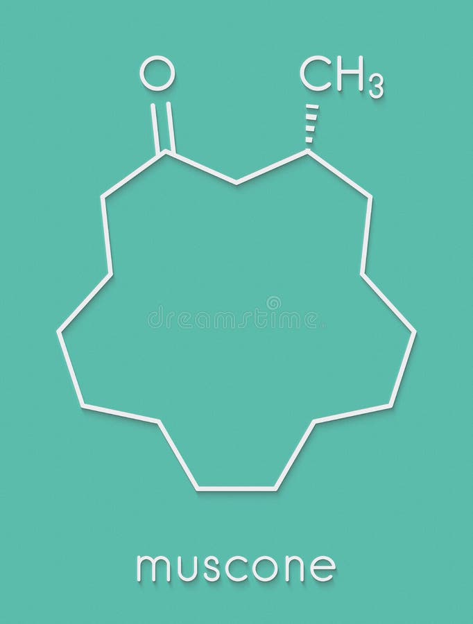 Musk Odor Stock Illustrations – 97 Musk Odor Stock Illustrations ...