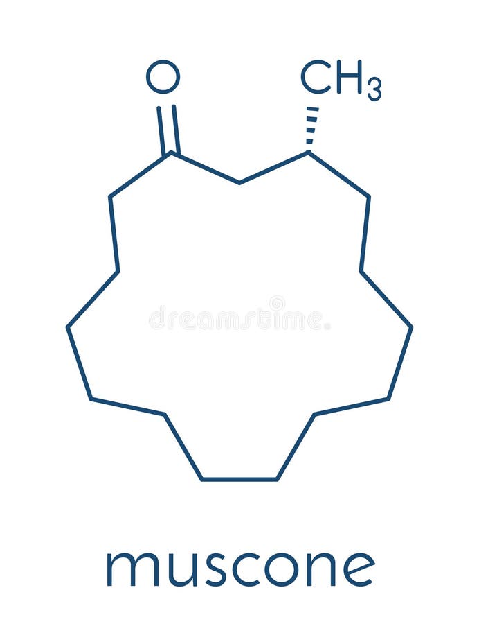Muscone Musk Odor Molecule. Skeletal Formula. Stock Vector ...