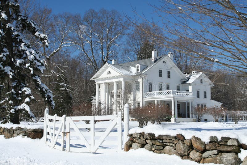 Muscoot Farm Stock Photos - Free & Royalty-Free Stock Photos from ...