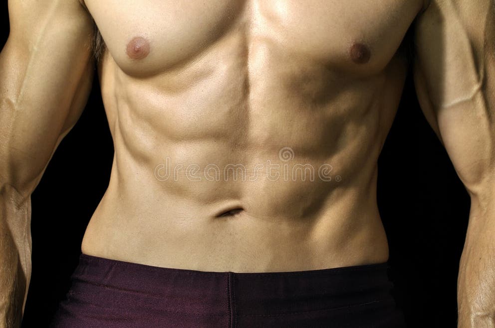 Muscular abs and torso stock image. Image of chest, athlete - 29210819
