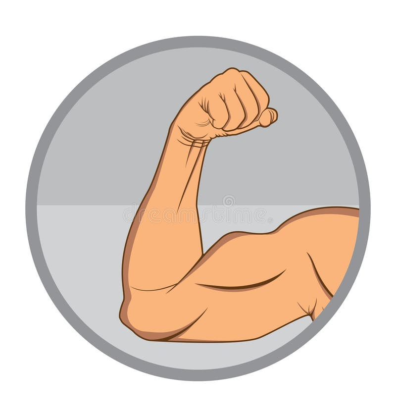 Muscular arm stock vector. Illustration of human, attractive - 56014971
