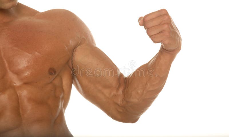 Muscular Athletic Body Builder Arm Stock Photo - Image of athletic ...