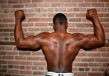 Muscular black man - back stock image. Image of sports - 11303261