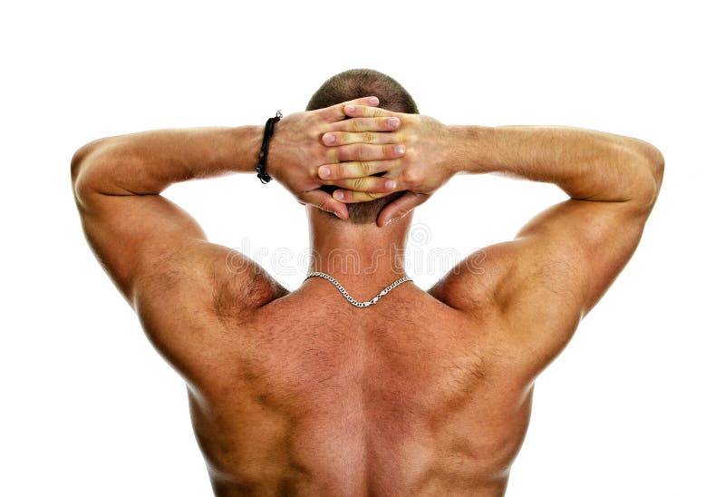 The Muscular Bodybuilder Back. Stock Photo - Image of power, caucasian ...