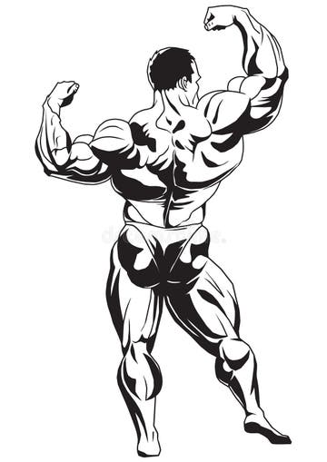 Back Muscular Bodybuilder Stock Illustrations – 889 Back Muscular ...