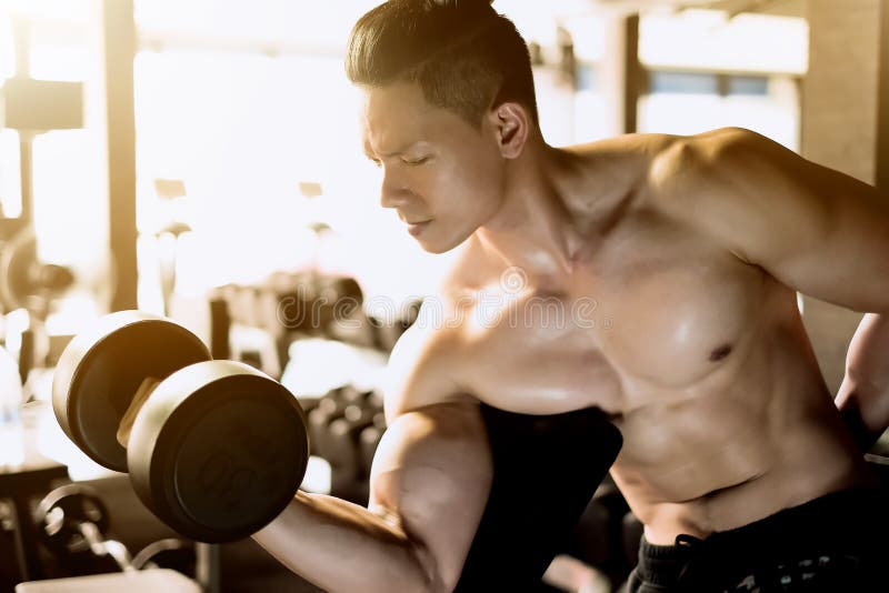 Muscular bodybuilder man stock photo. Image of adult - 95121308