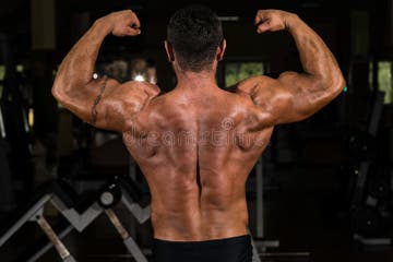 Muscular Bodybuilder Showing His Back Double Biceps Stock Photo - Image ...