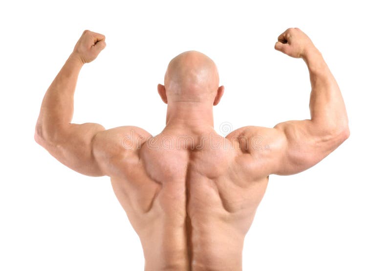 Muscular Bodybuilder on White Background Stock Image - Image of ...