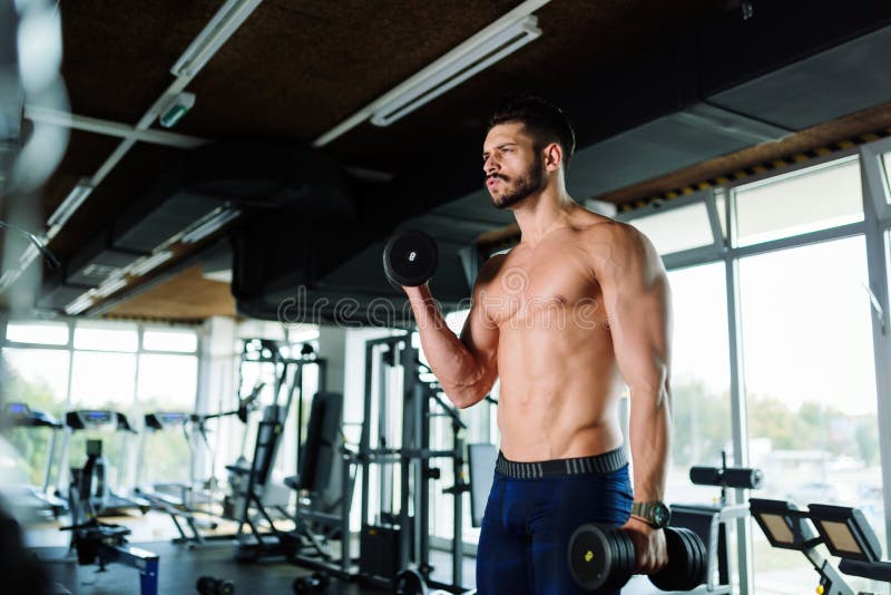 Muscular Bodybuilder Handsome Man Doing Exercises in Gym. Sport People ...