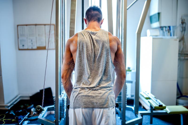 Muscular Bodybuilder Working Out at Gym, Making Triceps Stock Photo ...