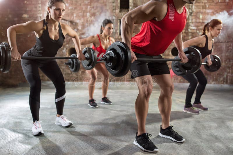 Muscular Bodybuilders Workout Torso Stock Image - Image of athlete ...