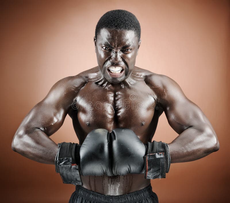 Boxer Boxing stock photo. Image of caucasian, isolated - 19531664