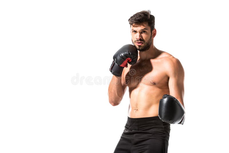Muscular Boxer Looking Camera Isolated White Copy Space Stock Photos ...