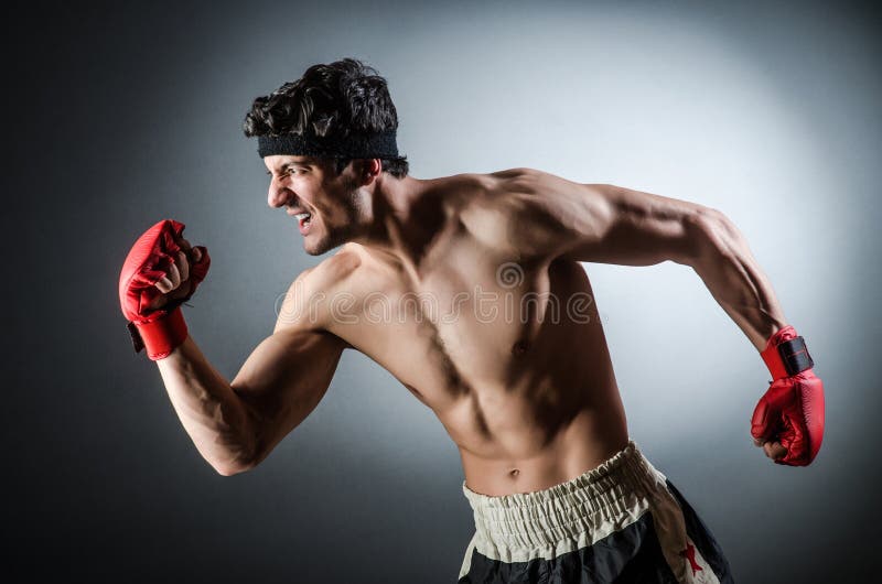 Muscular boxer stock image. Image of adult, person, ripped - 43185629