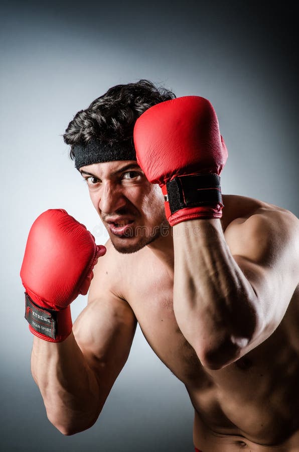 Muscular boxer wiith stock photo. Image of muscular, biceps - 45675572
