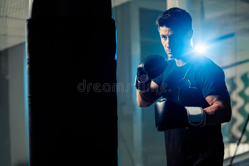 Handsome Guy in Boxing Pose Stock Image - Image of adult, healthcare ...