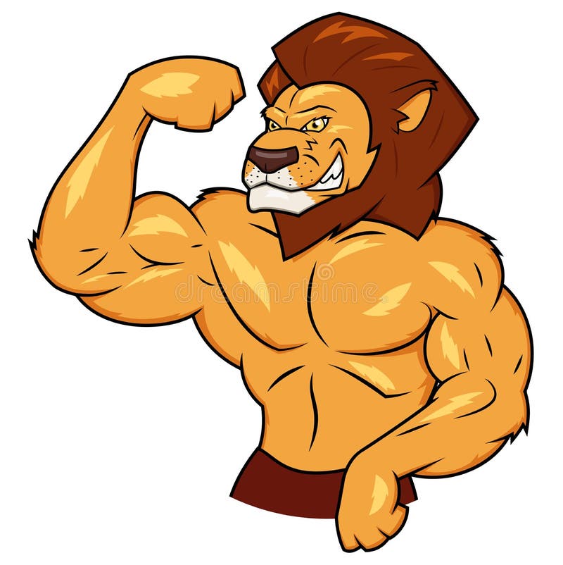 Muscular Lion Drawing Lion Muscular Deep Chested Animal Having Stock