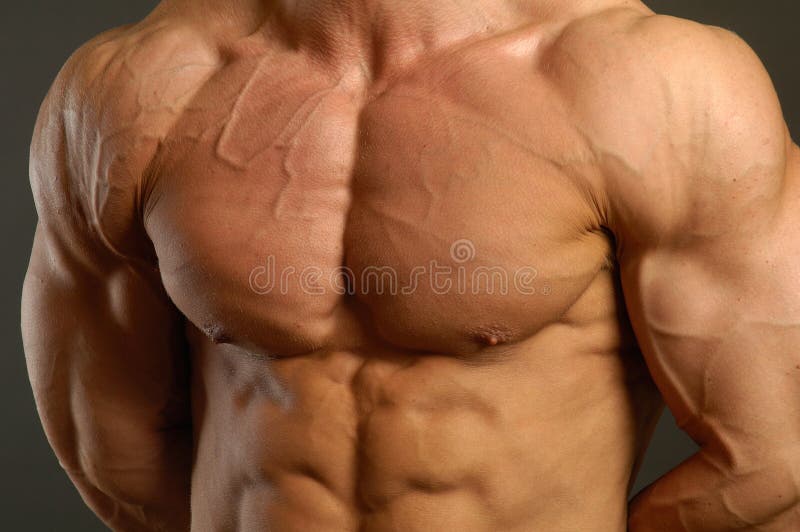 The muscular male stock image. Image of macho, body, isolated - 3338277