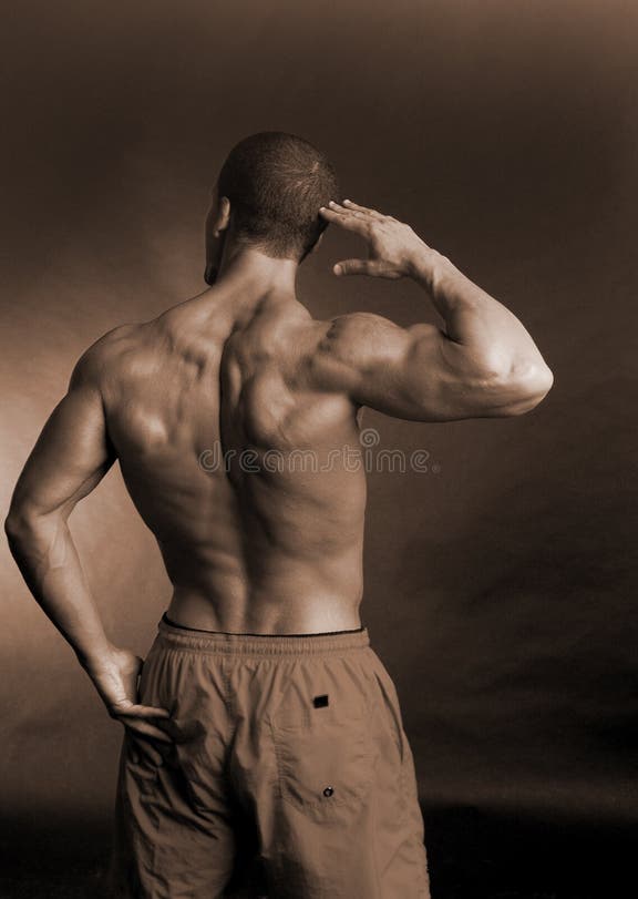 Muscular male back stock image. Image of pose, male, muscular - 1166605