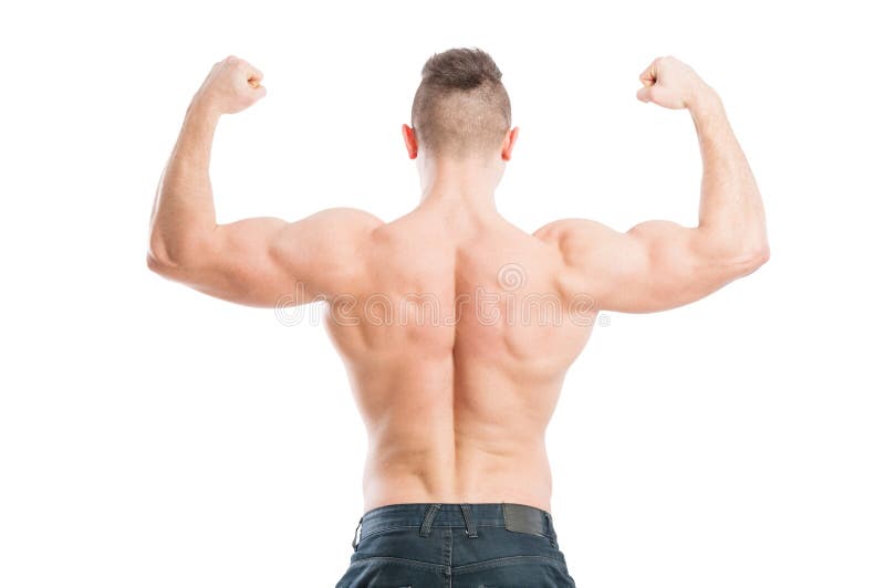 Muscular Male from the Back Stock Image - Image of bodybuilder, arms ...