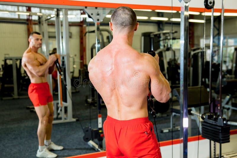 Male Bodybuilder Doing Exercises in a Gym Stock Photo - Image of ...