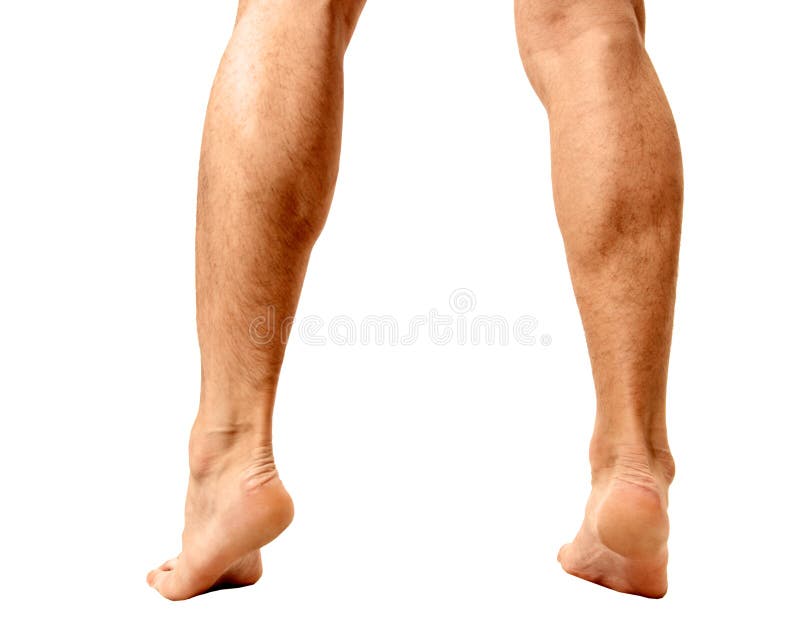 Muscular male calves stock image. Image of bodybuilder - 16247841