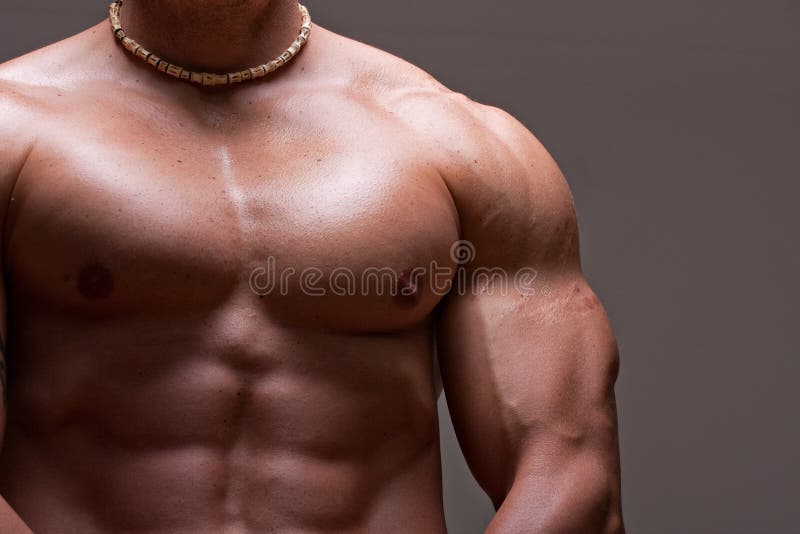 35,523 Muscular Male Bodybuilder Torso Stock Photos - Free & Royalty ...