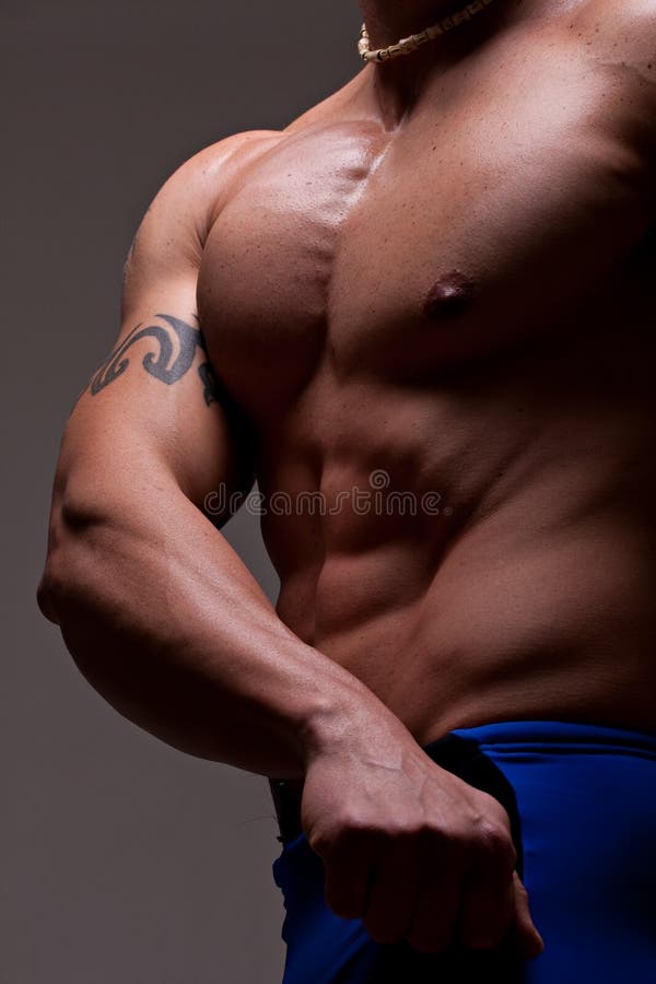 Bodybuilder stock photo. Image of chest, athlete, space - 31408628