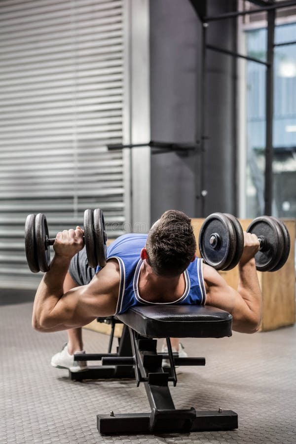 Muscular Man on Bench Lifting Dumbbells Stock Image - Image of fitness ...