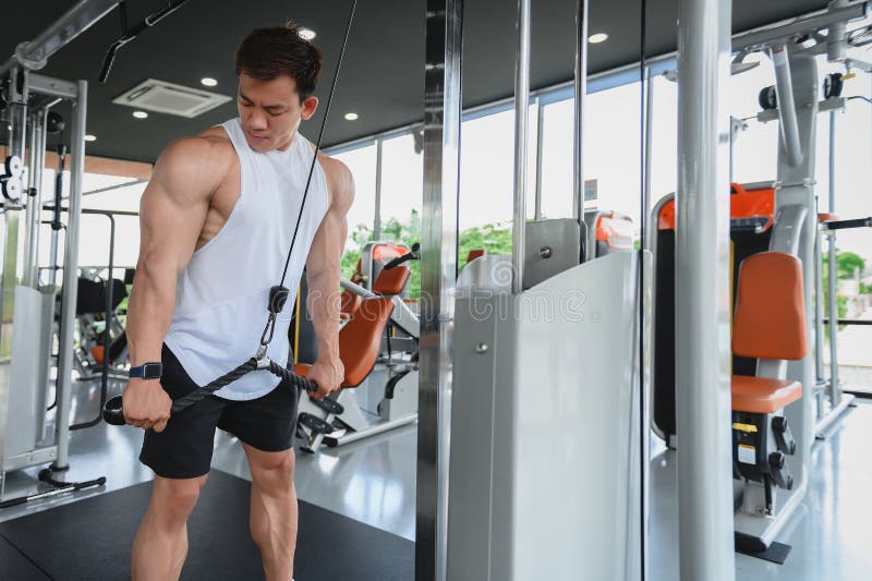 Muscular Man, Bodybuilder Asian Man Workout Doing Cable Rope Pushdowns ...