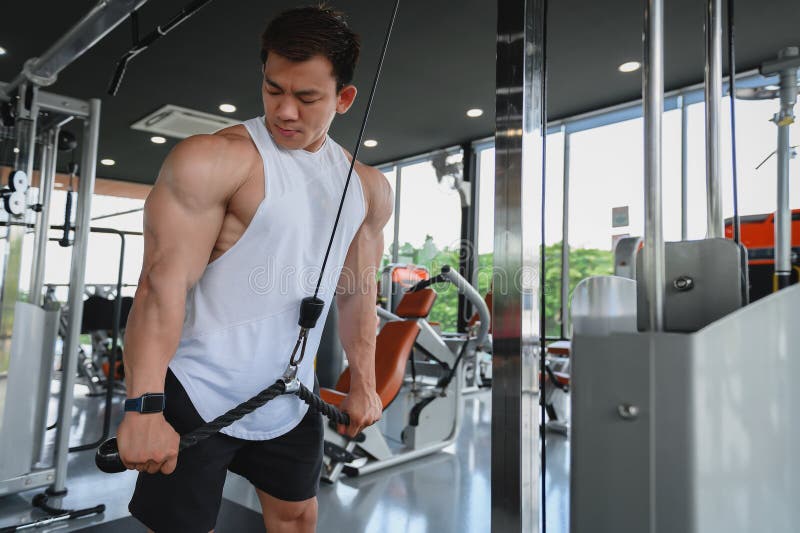 Muscular Man, Bodybuilder Asian Man Workout Doing Cable Rope Pushdowns ...