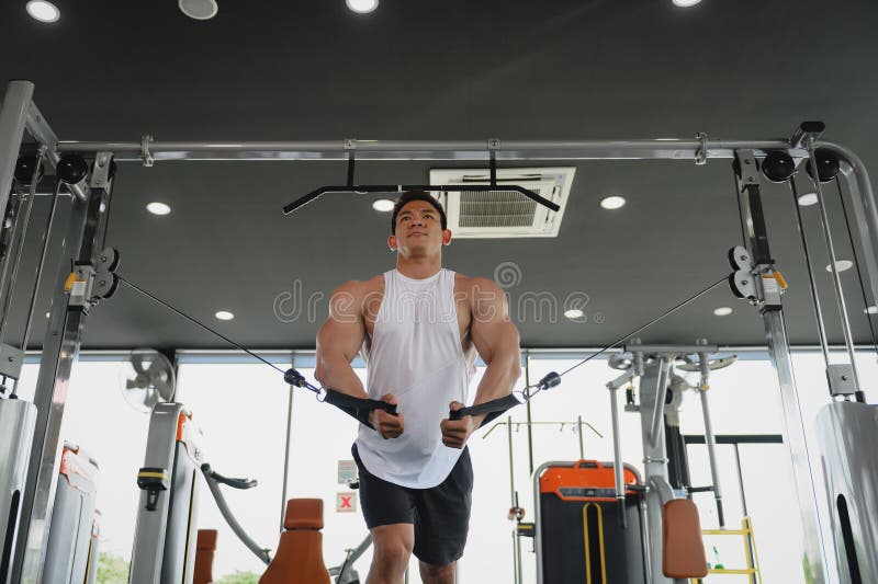 Tricep Pushdowns Stock Photos - Free & Royalty-Free Stock Photos from ...