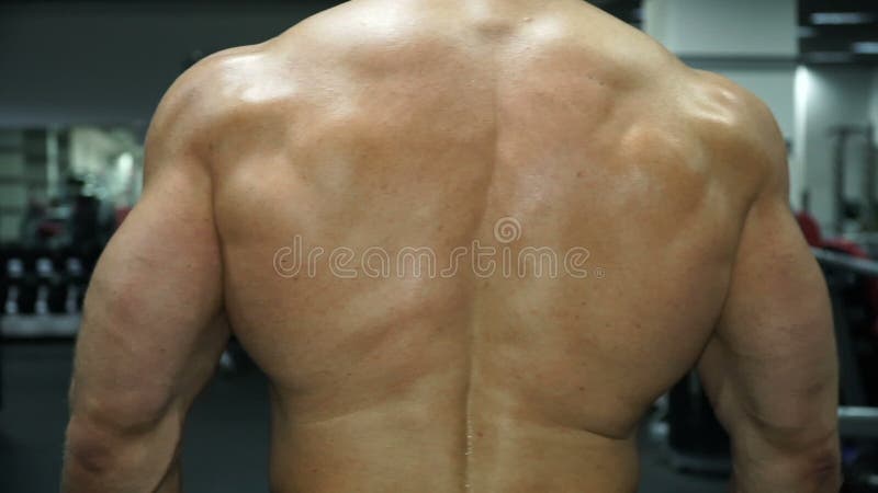 Muscular Man Bodybuilder Posing with His Back. Stock Footage - Video of ...