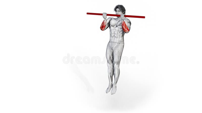 Muscular Man Character Doing Pull-up Exercise - 3d Render Stock Video ...