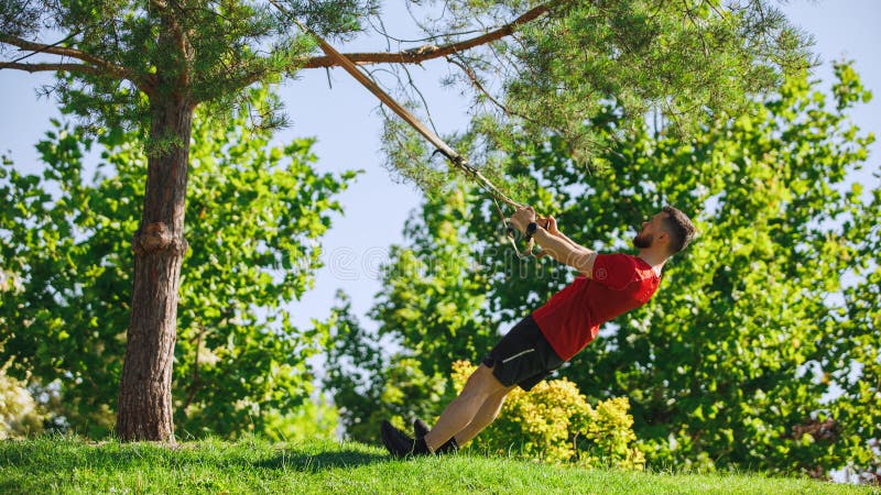 Muscular Man Doing TRX Workout in Lush Green Park, Using Tree Branches ...