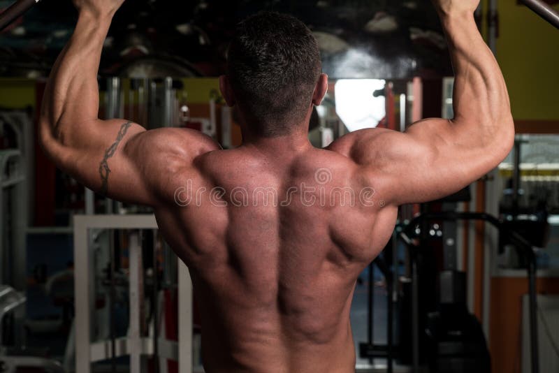 Muscular Man Exercising in Gym Stock Photo - Image of flex, building ...