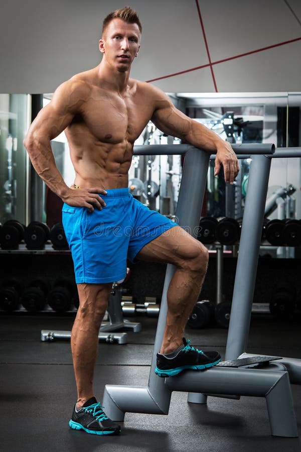 Muscular Man during Workout in the Gym Stock Image - Image of muscular ...
