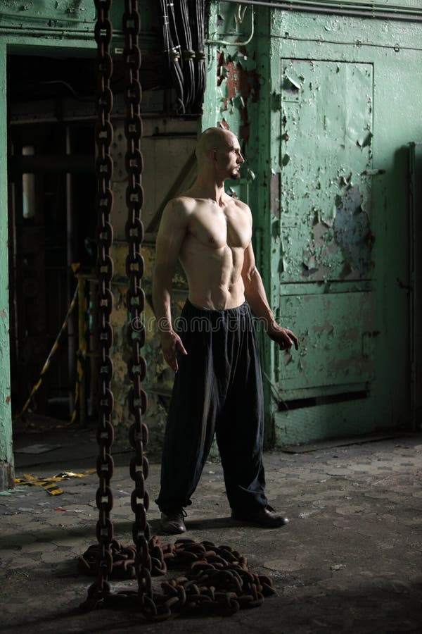 Young Muscular Hung Videos Stock Photos - Free & Royalty-Free Stock ...