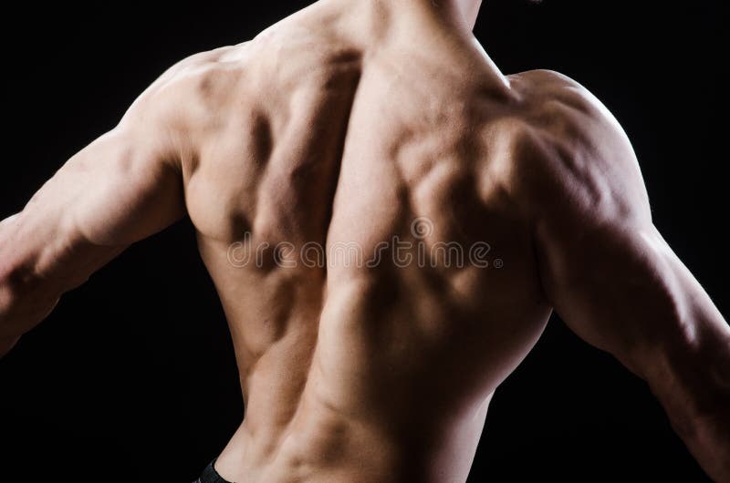 Man with Muscular Back in Dim Light, Fitness and Strength Concept Stock ...