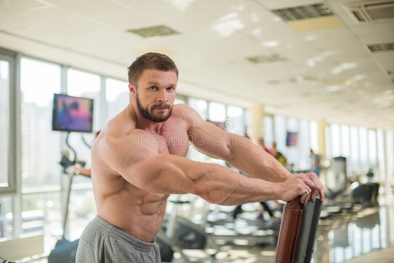 Muscular man. stock image. Image of handsome, adult, brawny - 65239205