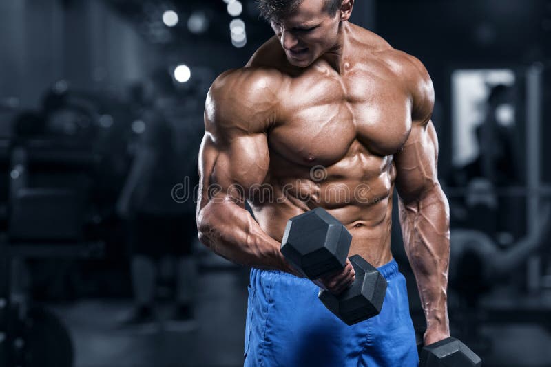Muscular Man Working Out in Gym, Strong Male Torso Abs Stock Photo ...