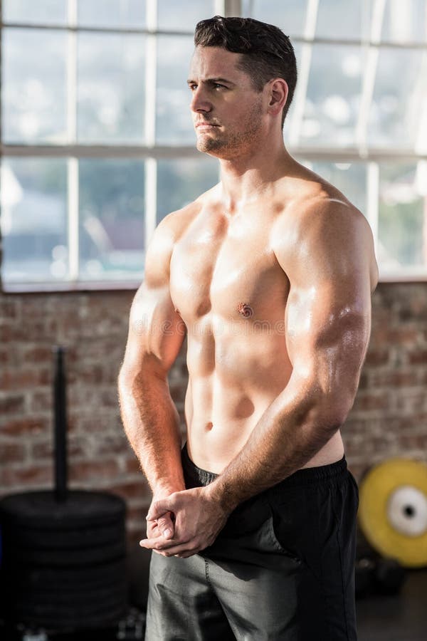 Muscular Serious Man Posing in Crossfit Gym Stock Image - Image of ...