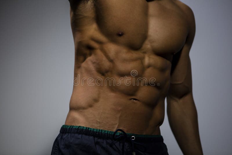 Muscular Torso of a Fitness Model Stock Photo - Image of facing, studio ...