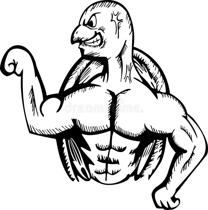 Muscular Turtle Bodybuilder Cartoon Stock Vector - Illustration of ...