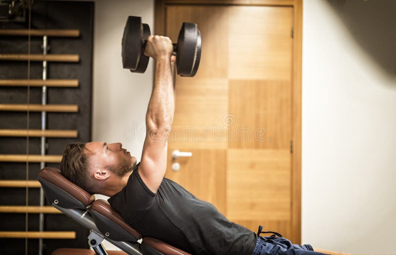 Muscular Young Man, Training Pecs on Gym Bench Stock Image - Image of ...