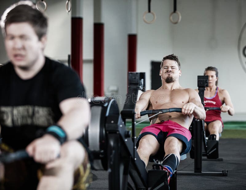 Rowing Team Pulling Together Stock Photos - Free & Royalty-Free Stock ...